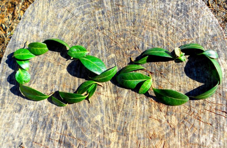 Low CAPEX/OPEX with long lifespan - Woima Corporation