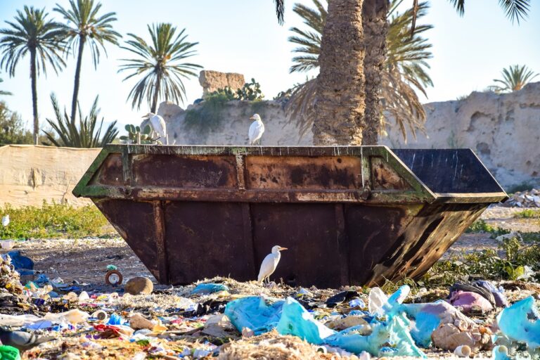 Drowning in Waste – Case Morocco - Woima Corporation